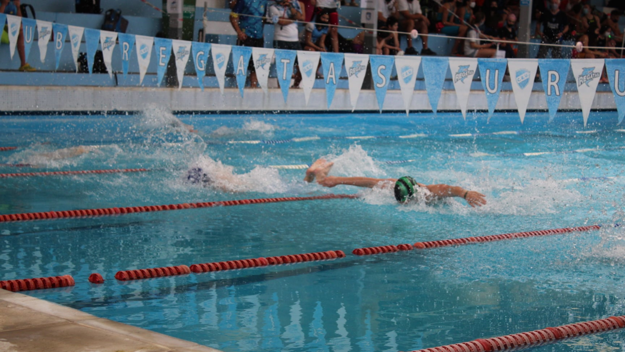 Toda la info para el Torneo Aniversario de Natación Master - Club ...